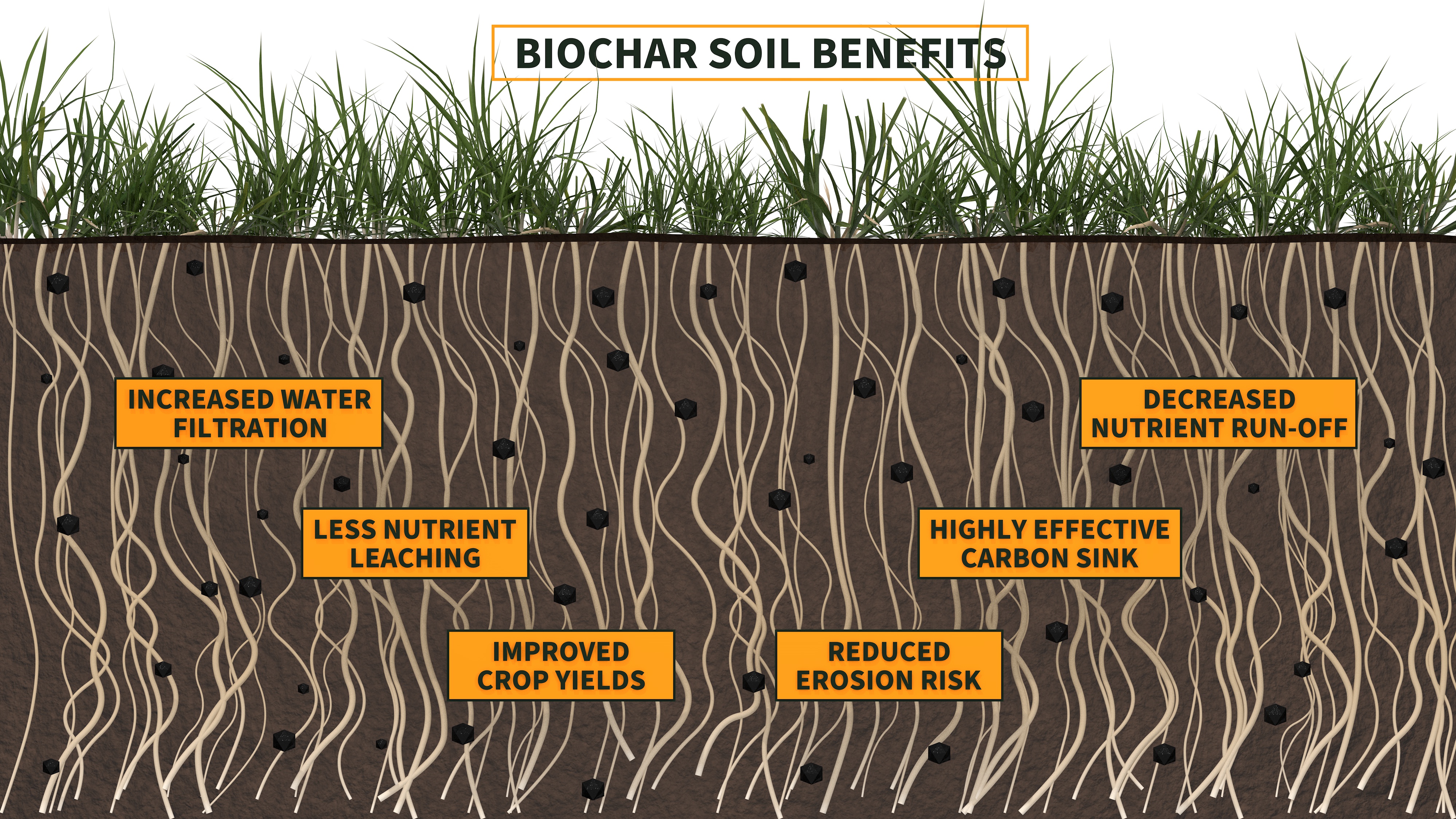Drying Biomass for Biochar Production - Stronga